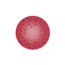 Red Cell Menu - haematologyetc.co.uk