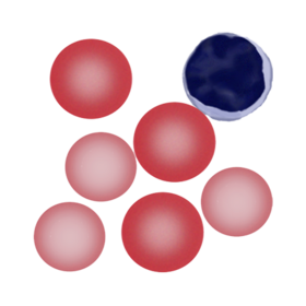 Image Index of red cell forms - haematologyetc.co.uk