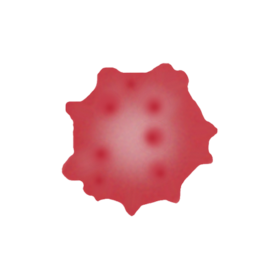 Image Index of red cell forms - haematologyetc.co.uk